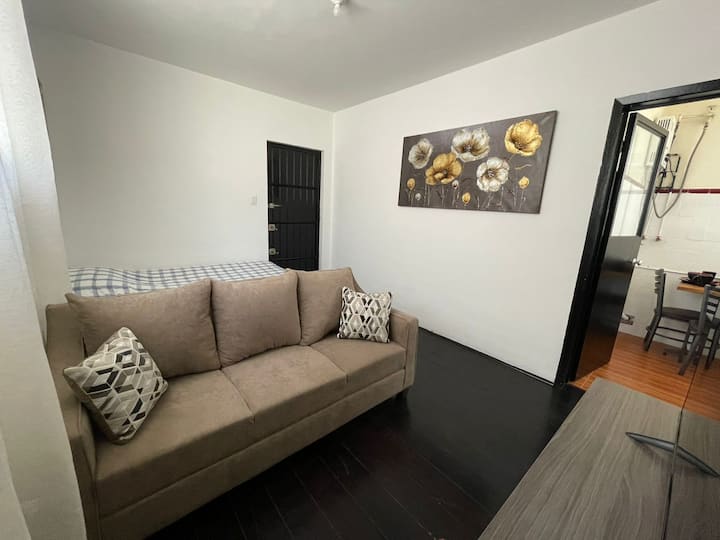 Departamento Condesa De Barrio 2 - Mexico City