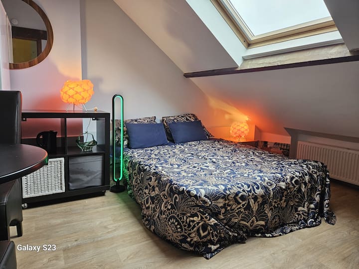 Single Room In Atomium - Bruselas, Bélgica