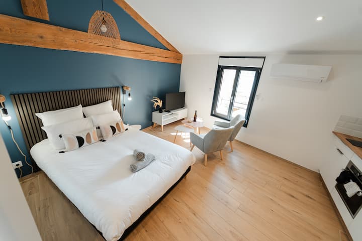 Cocon Romantique Vue Rhône Condrieu Vina Rhona R - Assieu