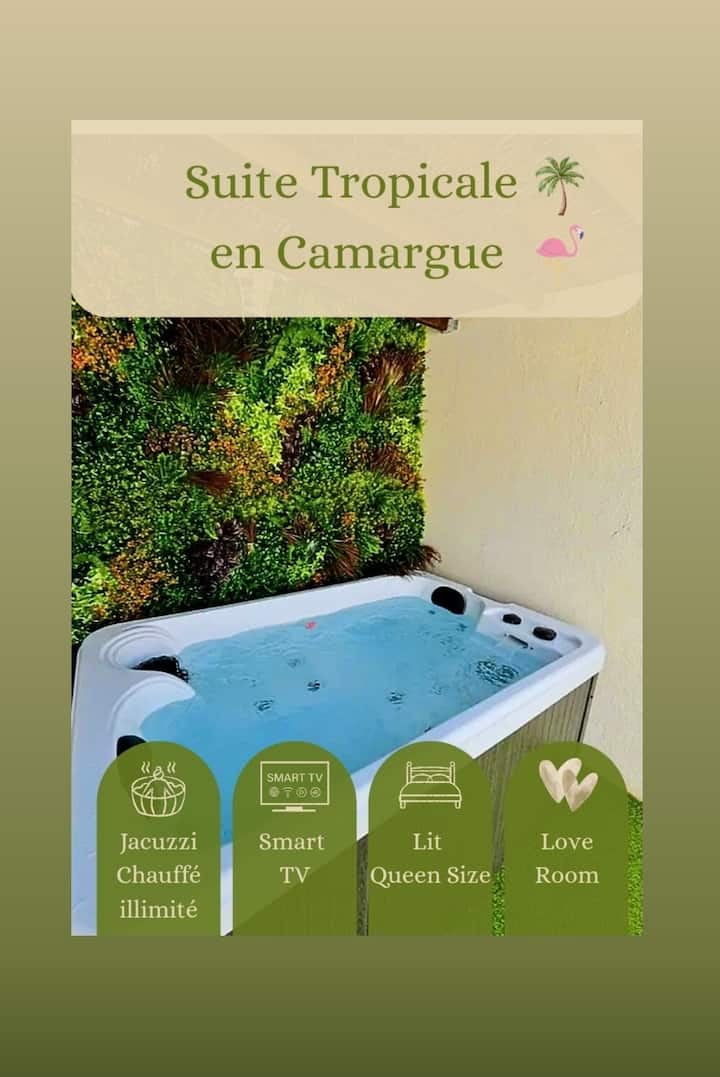 Jacuzzi Chauffé Extérieur Illimité Suite Tropicale - Port-Saint-Louis-du-Rhône