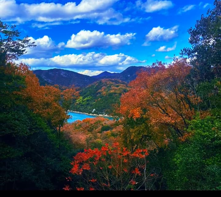 スミス夫婦の山海小屋 - Bizen