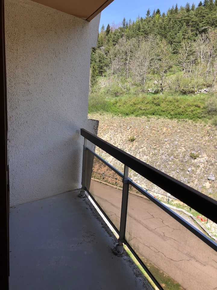 Appartement Au Pied Des Pistes - Lans-en-Vercors