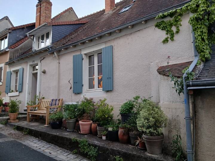 Charmante Maison Du 17ème Et Son Jardin Perché - Argenton-sur-Creuse