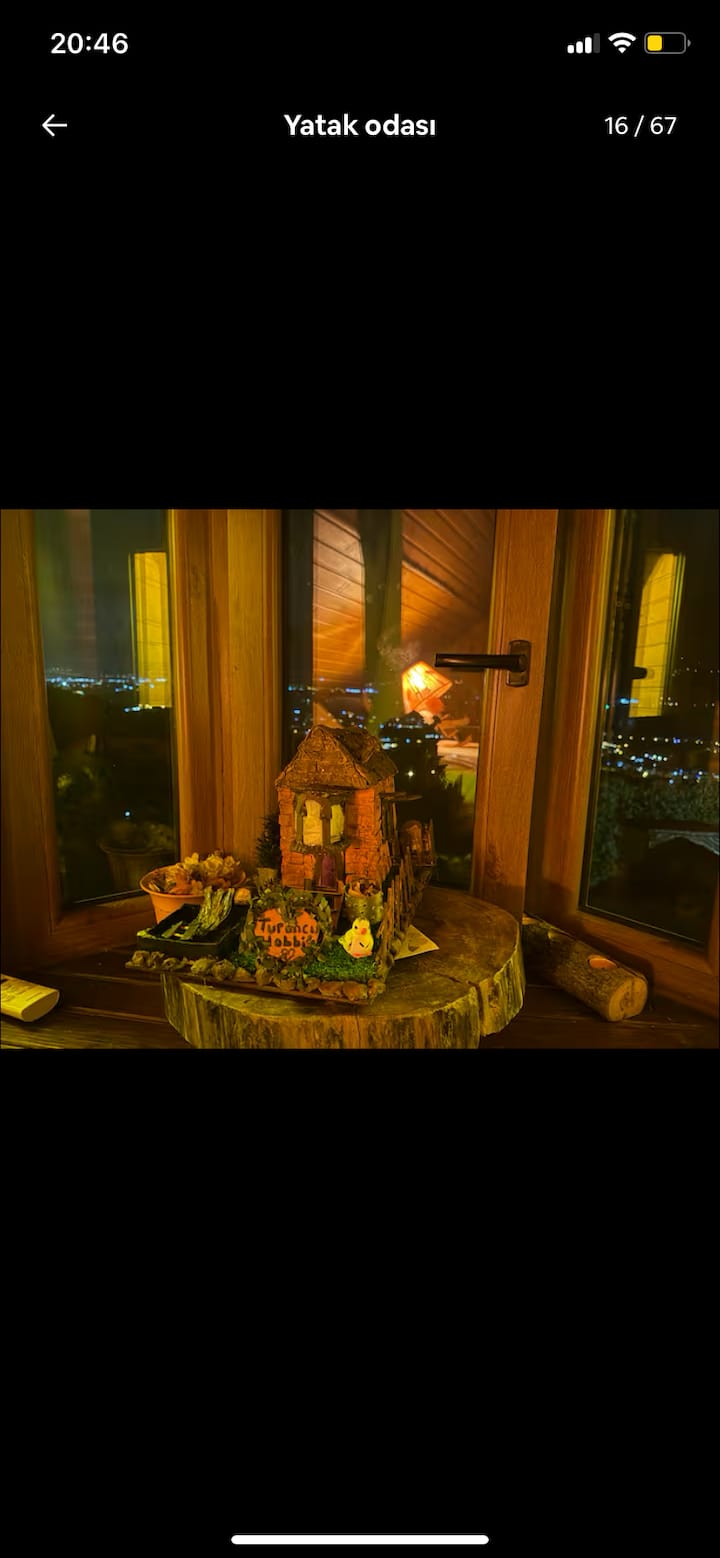 Göl Manzaralı Jakuzili Masal Evi - Sapanca