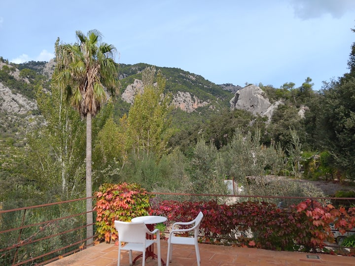 "Tramuntana - Mallorca -  Honor Nou " - Deià
