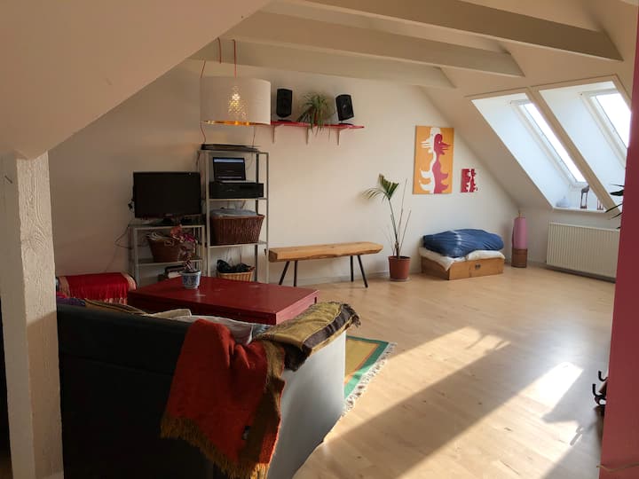 Hyggelig Taglejlighed I ÅRhus - Aarhus