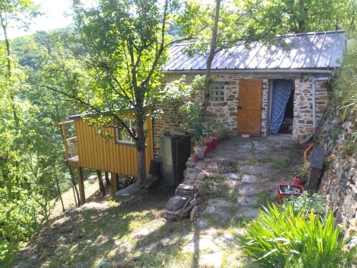Maison Dans La Forêt - Villefranche-de-Panat