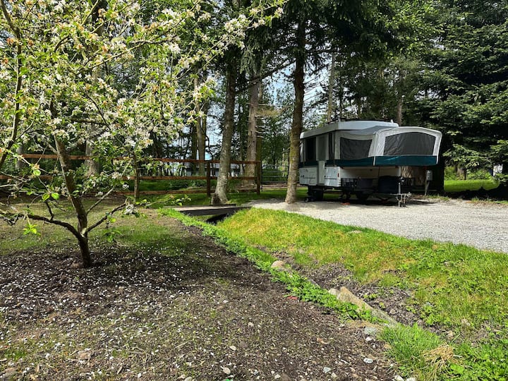 Island Orchard Camp-3min To Deception Pass - La Conner, WA