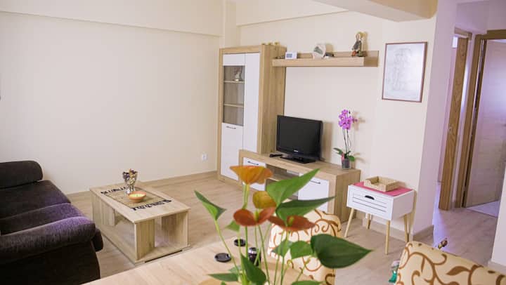 Apartamento Pequeño Y Acogedor. Cama De 1,35 - Santander