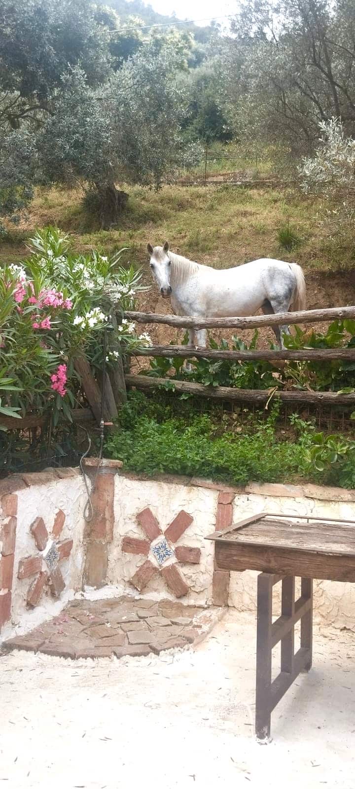 U Vadduni Trekking Equestre - Santo Stefano di Camastra