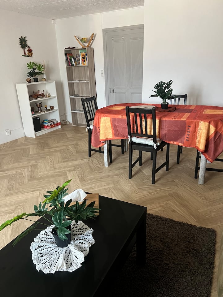 Duplex Deux Chambres Dole - Dole
