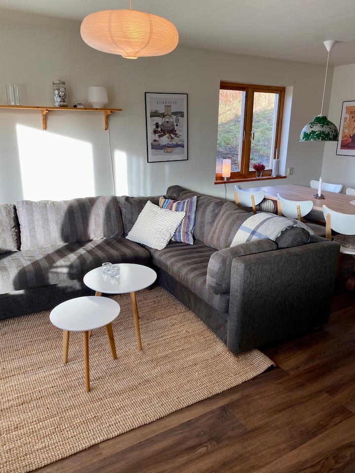 Ski In/ski Out I ÅRe Björnen. - Åre