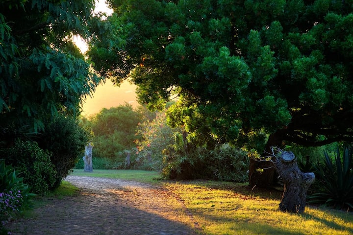 Villa Ruch - Port Elizabeth