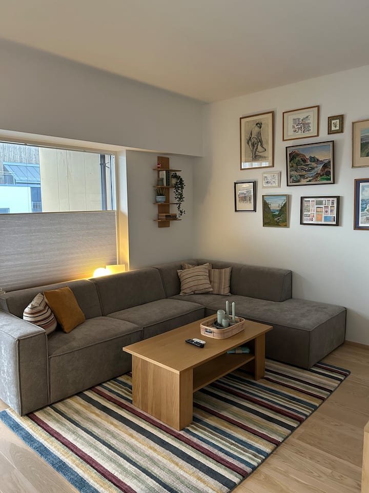 Lys Og Romslig Leilighet - Trondheim