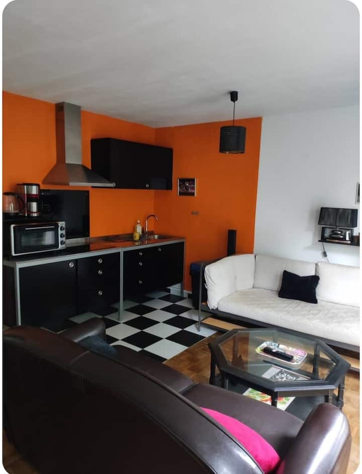 Charmant T2 - Rennes