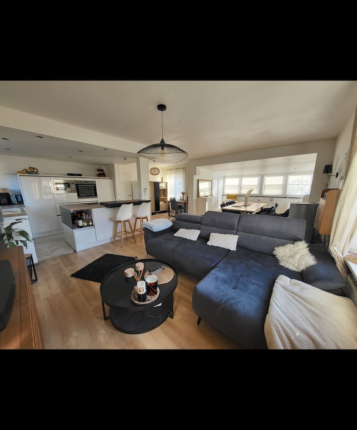 Maison Familiale 22p 6 Chambre Parking-spa 3 Sdb - Toul