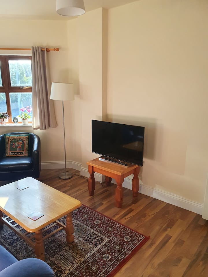 Peaceful Guest Residence - Limerick City