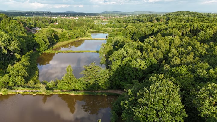 Chalet Au Bord D’un éTang - Belfort