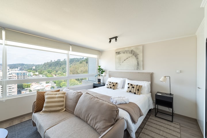 Depto. Studio King - Costado Parque Ecuador - Concepción