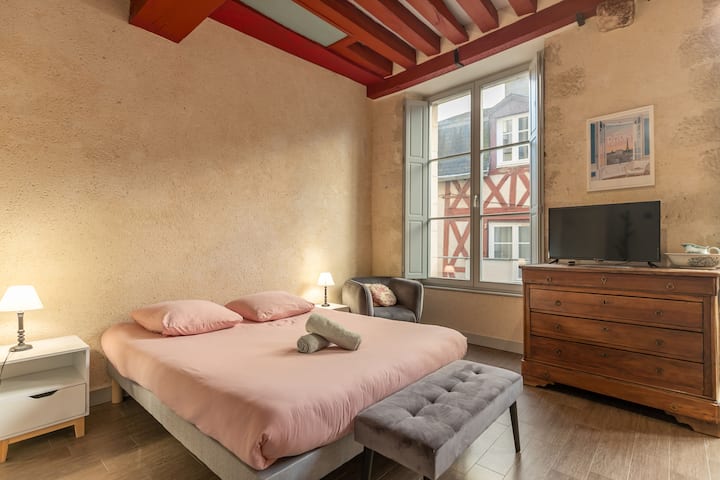 La Demeure De Beauvoir - Le Renaissance - Blois