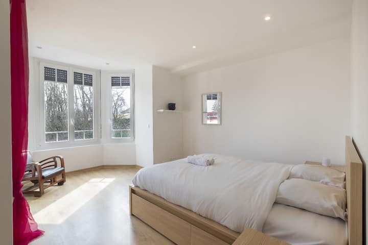 Au Cœur Des Alpes 4 - La Roche-sur-Foron