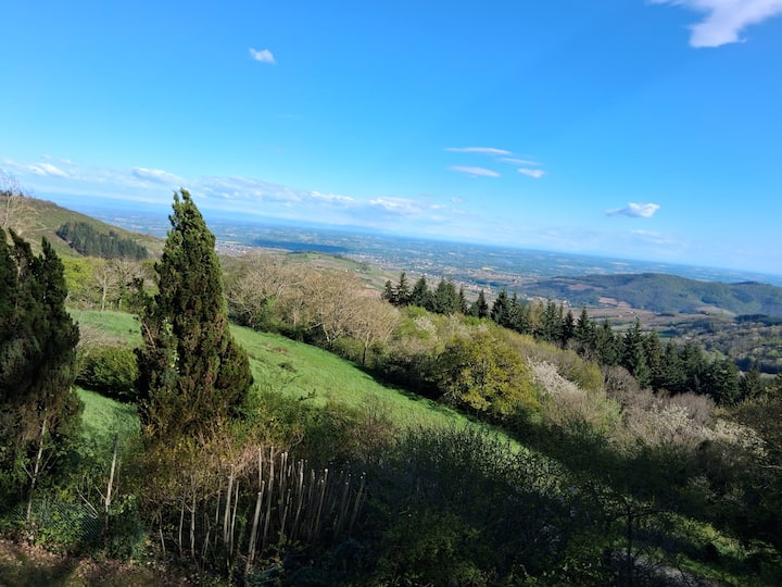 Chalet Panoramique - Fleurie