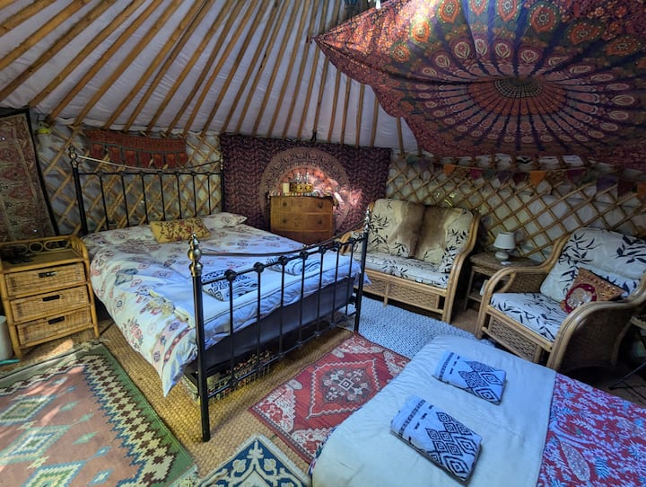 Mongolian Retreat With Alpacas & Goats - Dundee