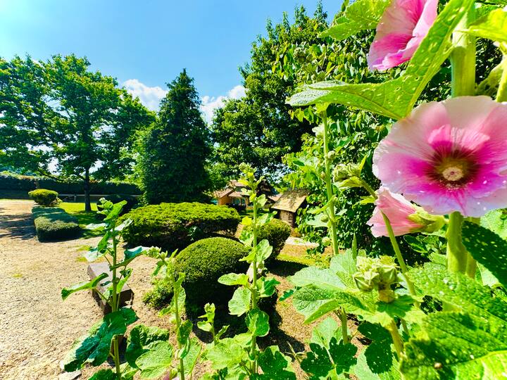 Séjour Détente à La Campagne à 20 Min Du Circuit. - Sarthe