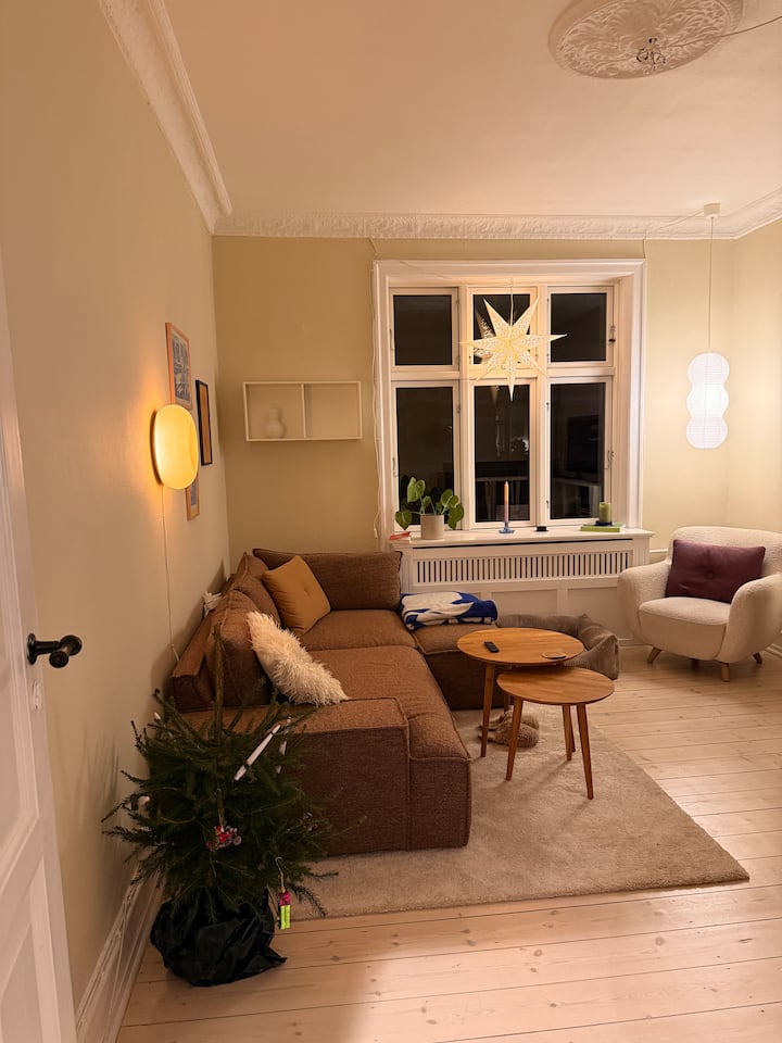 Hyggelig Lejlighed På Vesterbro - Copenhagen