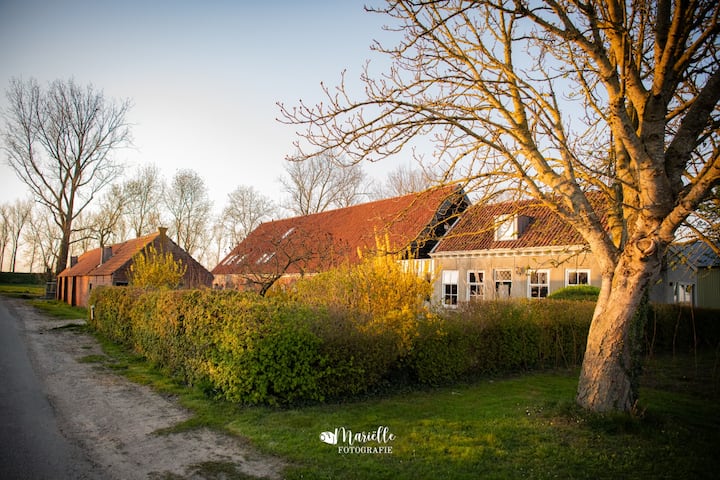 Karakteristiek Verblijf Moggershil In Boerderij - Zélande