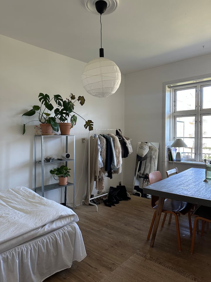 A Spacious Room In Aarhus C - Aarhus