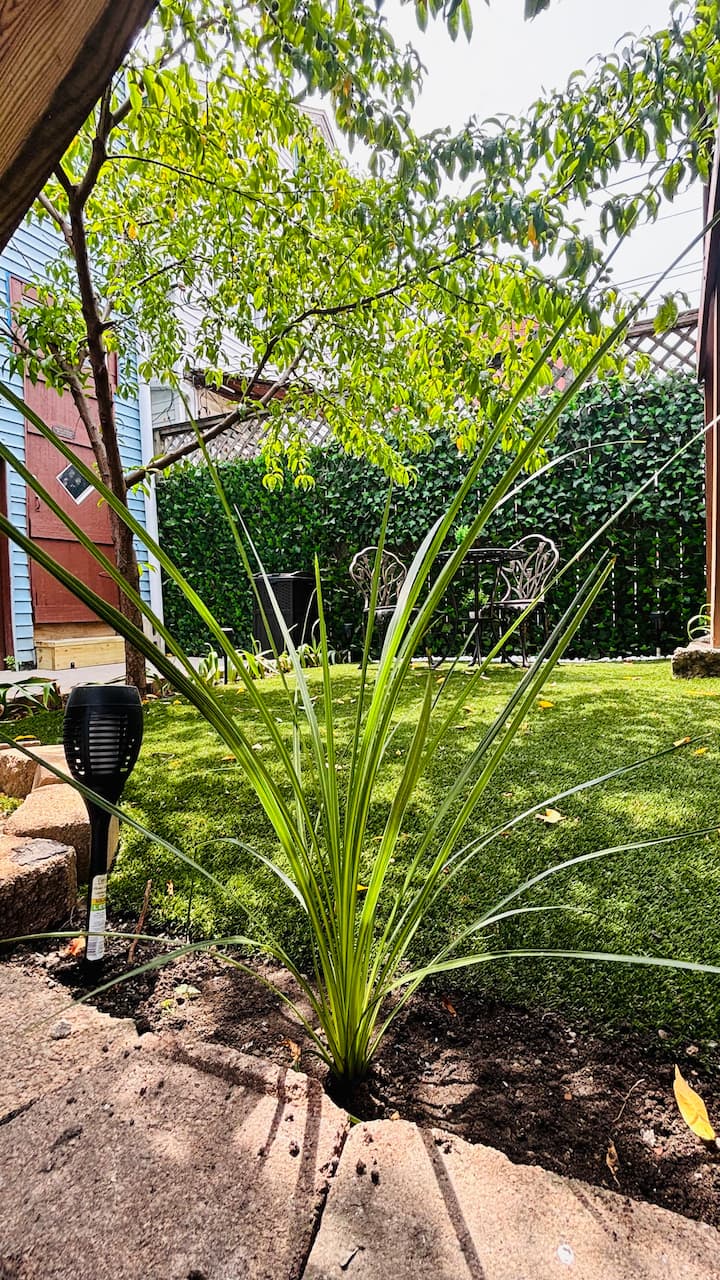 Stylish 1br In Shared Coach House Near Wicker Park - Chicago