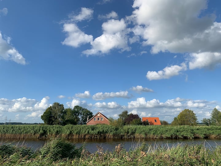 Flussblick & Ostfriesische Deichschafe - Nordsee