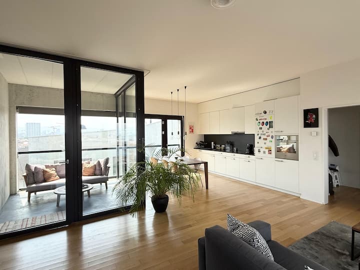 Penthouse With High Ceilings - 바젤