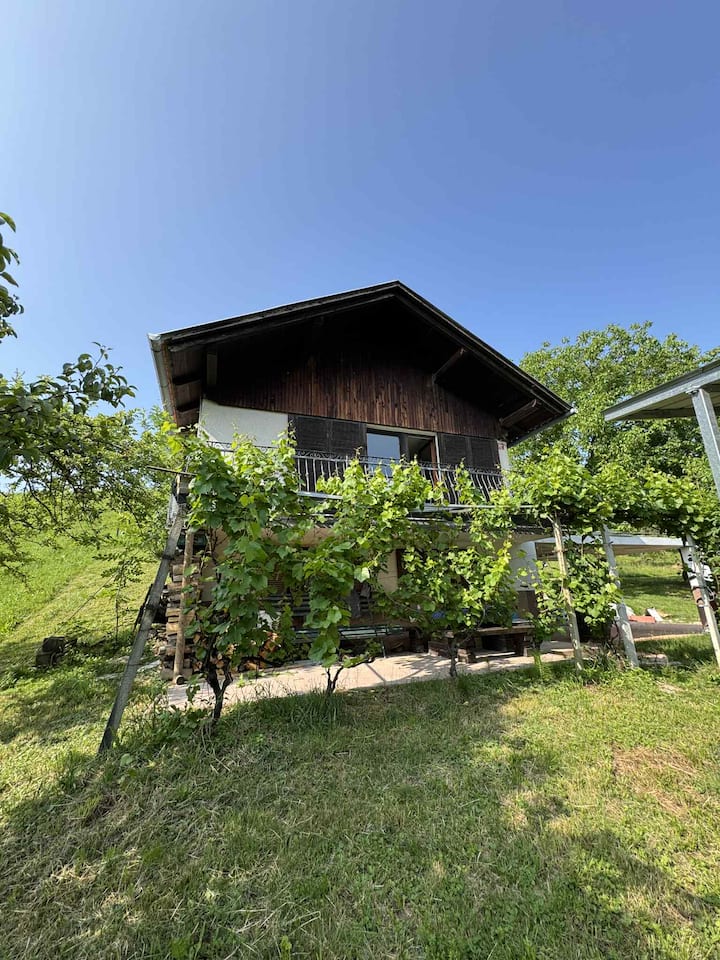 Parangal Vineyard - Topolšica