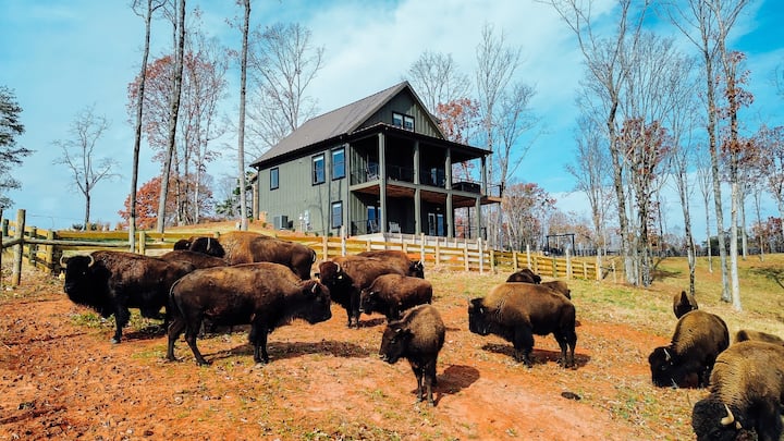 Sunset Lodge - Dahlonega, GA