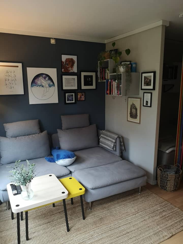 Cozy Studio Apartment, Close To The City Center - Bergen