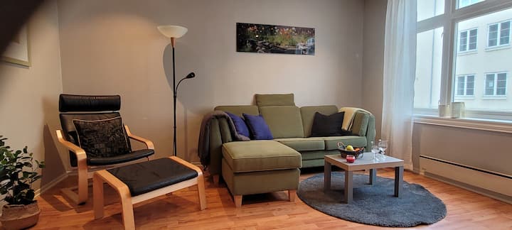 Sentral Beliggende Leilighet På 38m2 - Trondheim