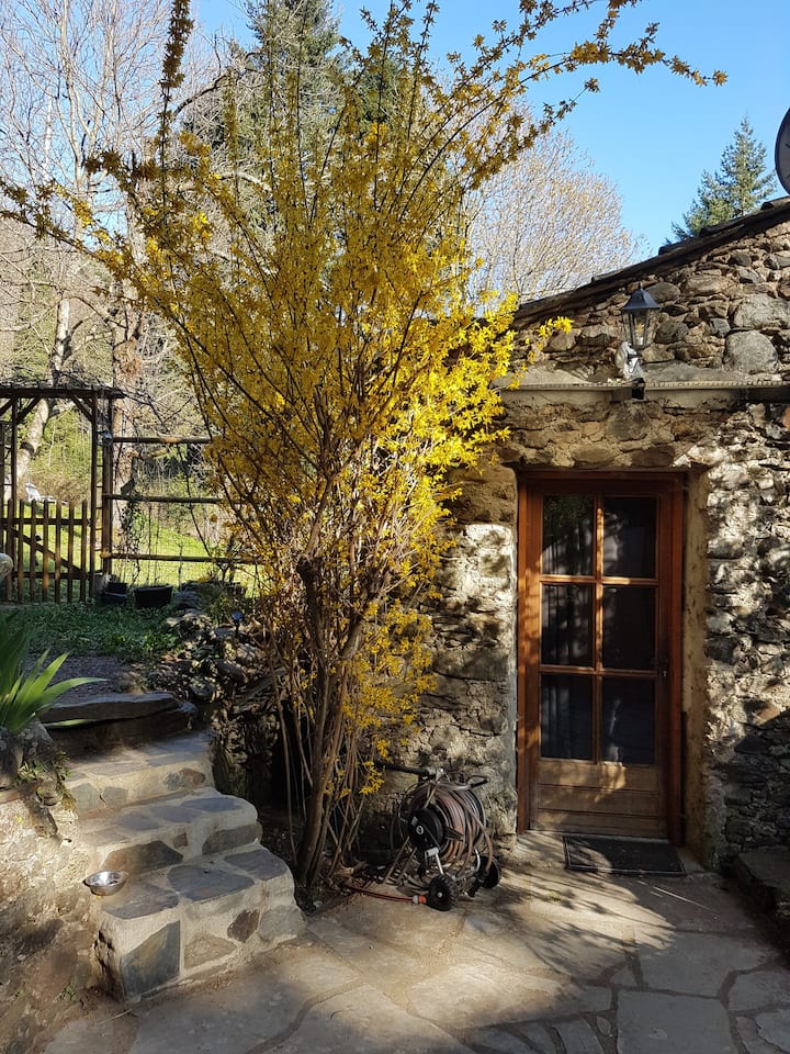 Gîte En Cévennes, Val D'aigoual, Vigan - Valleraugue