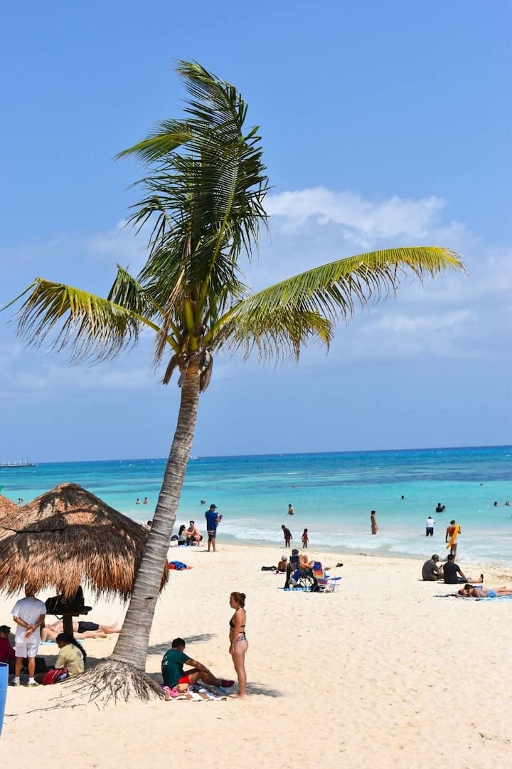 Family Luxe 5th Ave Pool & Beach - Playa del Carmen