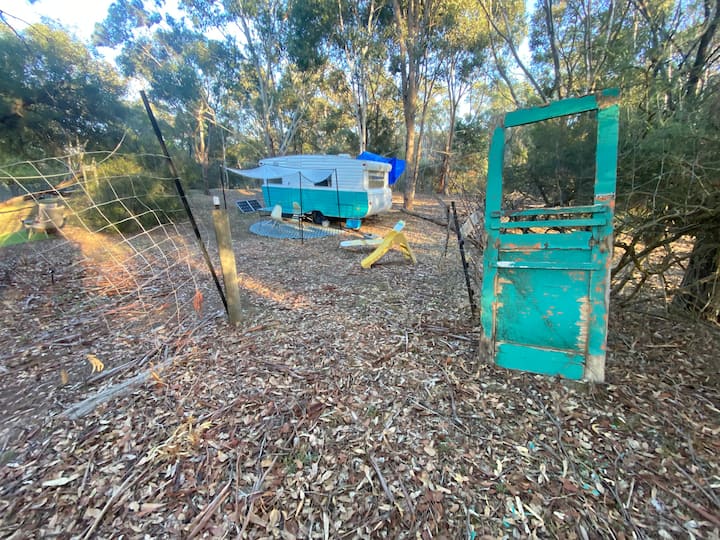 Camp Good Times - Castlemaine