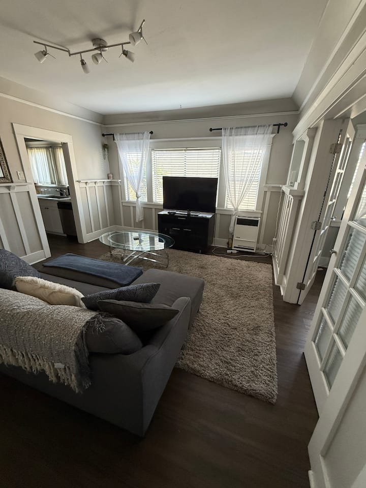 Huge 2bedroom Near Dtla, Crypto, Ktown And Usc - Silver Lake, CA