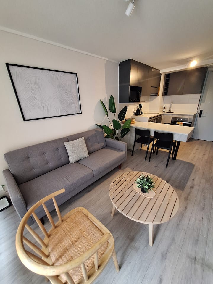 Arriendo Departamento Entero 2 A 3 Personas - Santiago