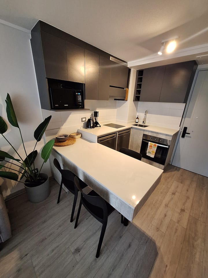 Arriendo Departamento Entero 2 A 3 Personas - Santiago (Chile)