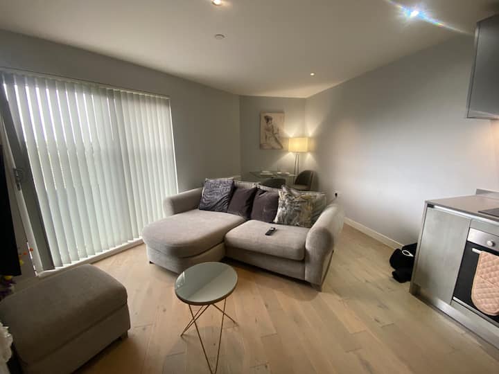 One Bedroom Penthouse - Luton