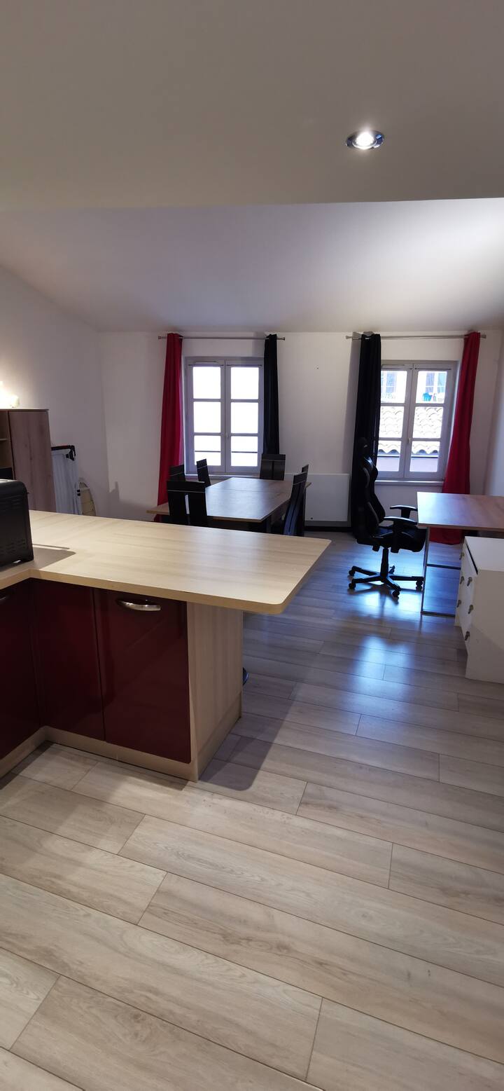 Appartement 80 M2 - Le Puy-en-Velay