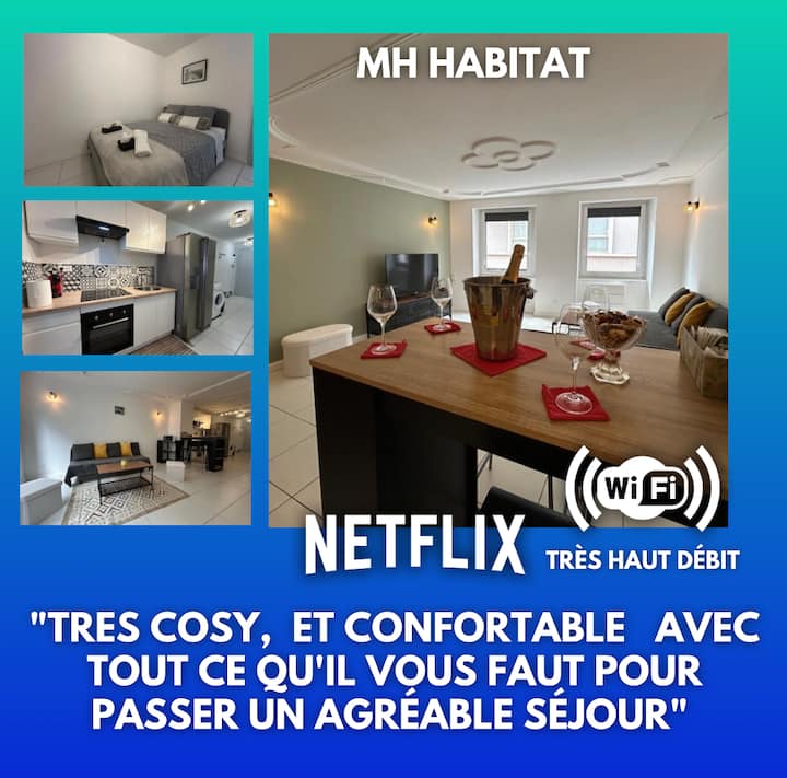 Mh Habitat Au Cœur Du Centre Ville. - ミュルーズ