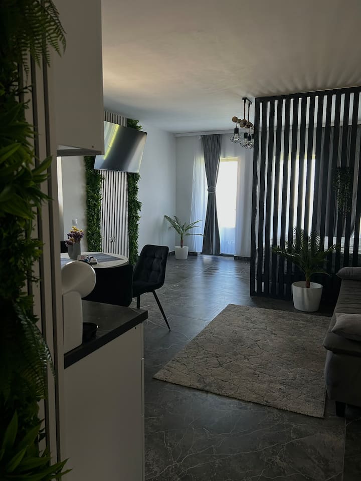 Summer Studio - Costinești