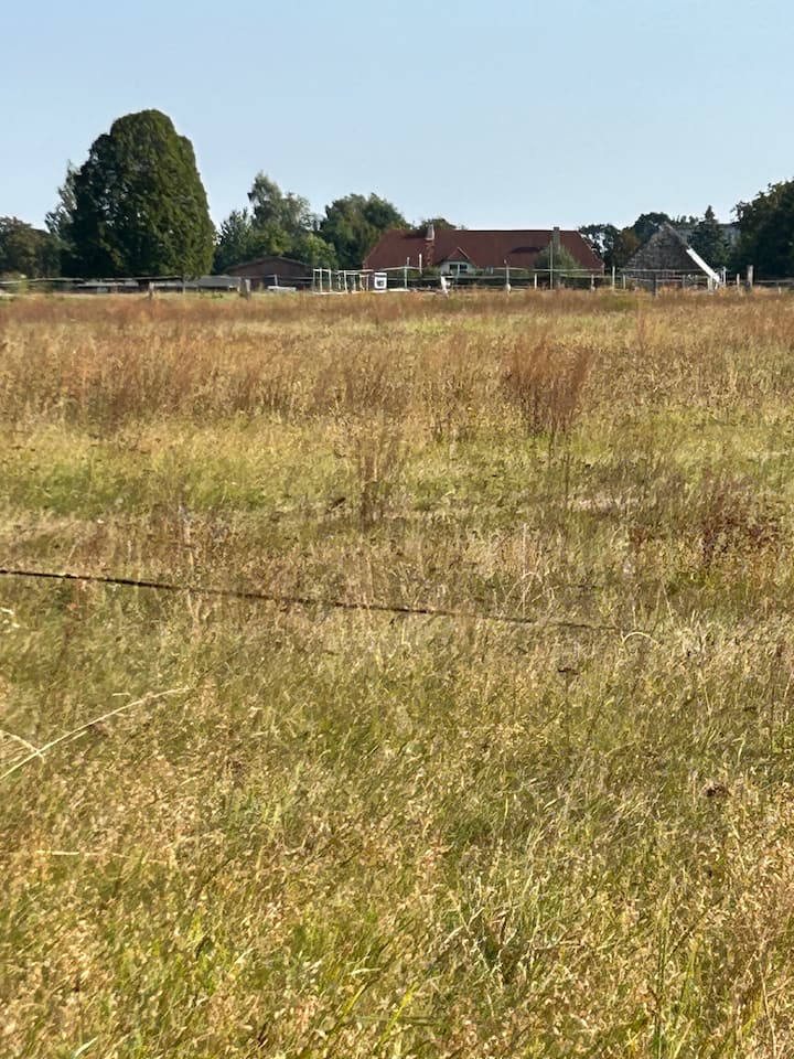 ÜBernachten Auf Einer Ranch - Mecklenburgische Seenplatte