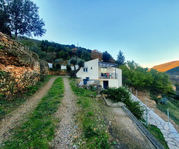Mas Familial Spacieux Avec Piscine - Lodève